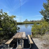 North Anclote River Nature Park Trail, Florida - 191 Reviews, Map ...