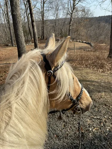 Best Hikes and Trails in Machimoodus State Park | AllTrails