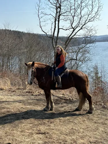Best Hikes and Trails in Machimoodus State Park | AllTrails