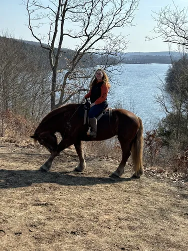Best Hikes and Trails in Machimoodus State Park | AllTrails