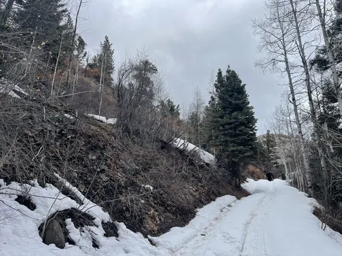 Best Off Road Driving Trails in Carson National Forest | AllTrails