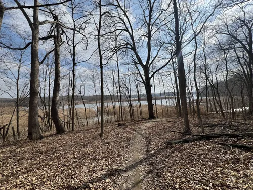 Best Hikes and Trails in Clinton Lake State Recreation Area | AllTrails
