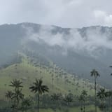 Cocora Valley Loop, Quindío, Colombia - 201 Reviews, Map | AllTrails