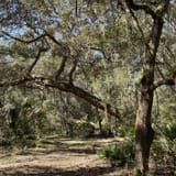 Guana River WMA Loop via Roscoe Blvd, Florida - 177 Reviews, Map ...