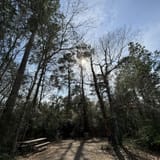 Carl Barton Jr Park Loop, Texas - 279 Reviews, Map | AllTrails