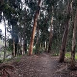 Serrano Creek Trail, California - 629 Reviews, Map | AllTrails