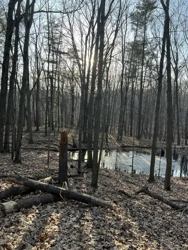 Best Hikes and Trails in Addison Oaks County Park | AllTrails