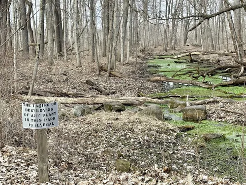 Best River Trails in Plano | AllTrails