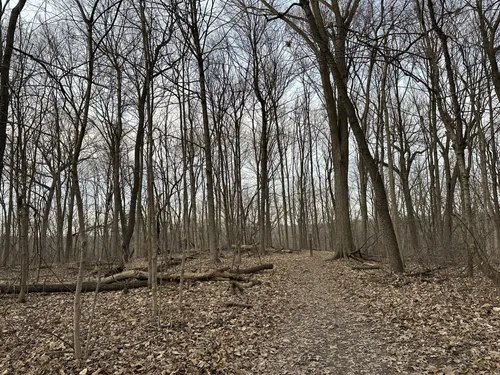 Best River Trails in Plano | AllTrails