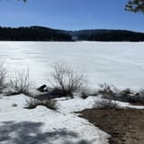 Spooner Lake Trail, Nevada - 1,758 Reviews, Map | AllTrails