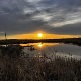 Wiouwash State Recreational Trail, Wisconsin - 243 Reviews, Map | AllTrails