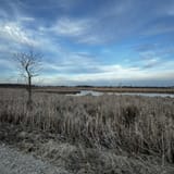 Wiouwash State Recreational Trail, Wisconsin - 243 Reviews, Map | AllTrails