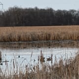 Wiouwash State Recreational Trail, Wisconsin - 243 Reviews, Map | AllTrails