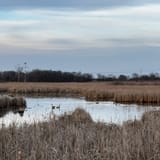 Wiouwash State Recreational Trail, Wisconsin - 243 Reviews, Map | AllTrails