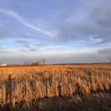 Wiouwash State Recreational Trail, Wisconsin - 243 Reviews, Map | AllTrails