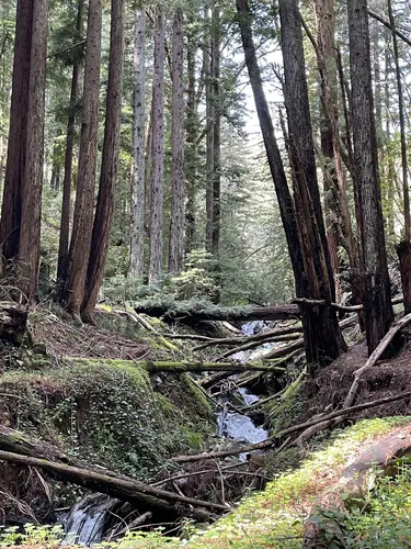 Best Historic Site Trails in Felton | AllTrails