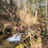 Morrison and Rimrock Trail Loop, Pennsylvania - 546 Reviews, Map ...