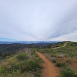 Trippet Ranch to Eagle Springs Loop Trail, California - 842 Reviews ...