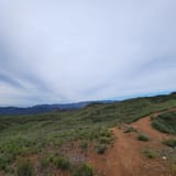 Trippet Ranch to Eagle Springs Loop Trail, California - 842 Reviews ...