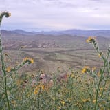 Dixie Summit Trail, Arizona - 1,534 Reviews, Map | AllTrails