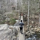 Edward's Point Trail, Tennessee - 2,478 Reviews, Map | AllTrails