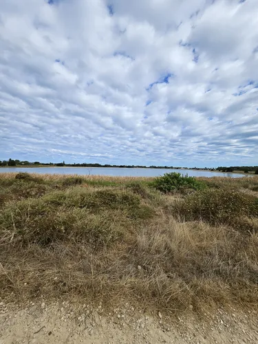 Best Lake Trails in Rockingham Lakes Regional Park | AllTrails