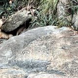 Reef Bay Trail, Saint John, US Virgin Islands - 1,019 Reviews, Map ...