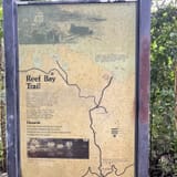 Reef Bay Trail, Saint John, US Virgin Islands - 1,019 Reviews, Map ...