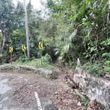 Reef Bay Trail, Saint John, US Virgin Islands - 1,019 Reviews, Map ...