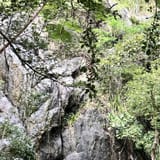 Reef Bay Trail, Saint John, US Virgin Islands - 1,015 Reviews, Map ...