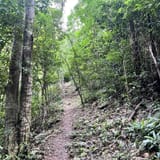Reef Bay Trail, Saint John, US Virgin Islands - 1,019 Reviews, Map ...