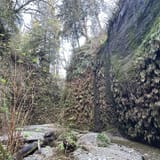 Miner's Ridge Trail, Clintonia Trail, and Gold Bluffs Beach Loop ...