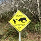 Miner's Ridge Trail, Clintonia Trail, and Gold Bluffs Beach Loop ...