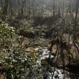 Birdsboro Waters Loop, Pennsylvania - 305 Reviews, Map | AllTrails
