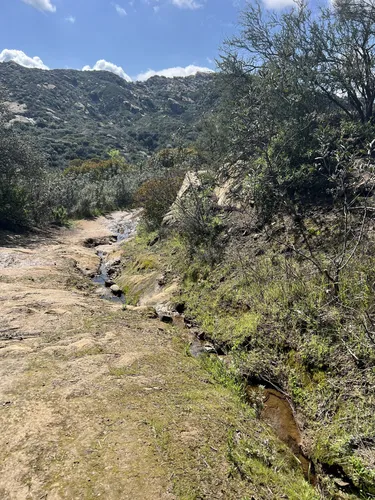 Best Hikes and Trails in Sage Ranch Park | AllTrails