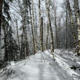 Jones Creek Trailhead via Wilson River Trail , Oregon - 162 Reviews ...