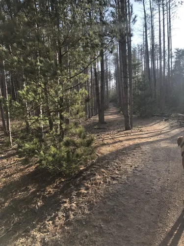 Best Hikes and Trails in Riley Trails Park | AllTrails