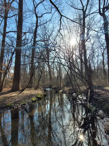 Best Forest Trails in Mill Neck | AllTrails