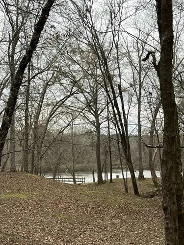 Best Hikes and Trails in McIntosh Reserve Park | AllTrails