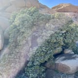 Skull Rock, California - 2,981 Reviews, Map | AllTrails