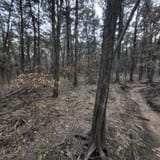 Parallel Forest Trail, Oklahoma - 408 Reviews, Map | AllTrails