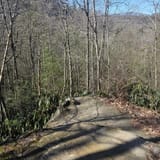 Rough Trail and Gray's Arch, Kentucky - 823 Reviews, Map | AllTrails