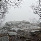 Pulpit Rock, Pennsylvania - 2,399 Reviews, Map | AllTrails