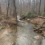 Pulpit Rock, Pennsylvania - 2,399 Reviews, Map | AllTrails