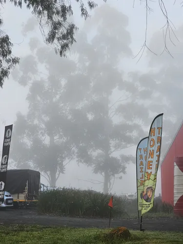 Best Lake Trails in Howick | AllTrails