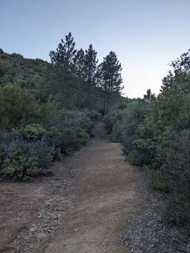 Best Long Trails in Greenfield | AllTrails