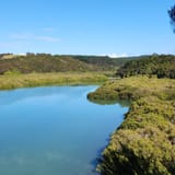 Waitangi to Haruru Falls Walk, Northland, New Zealand - 286 Reviews ...