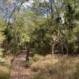 Starkey Park Nature Trail, Florida - 192 Reviews, Map | AllTrails