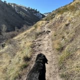 Hunter Creek Trail, Nevada - 4,318 Reviews, Map | AllTrails