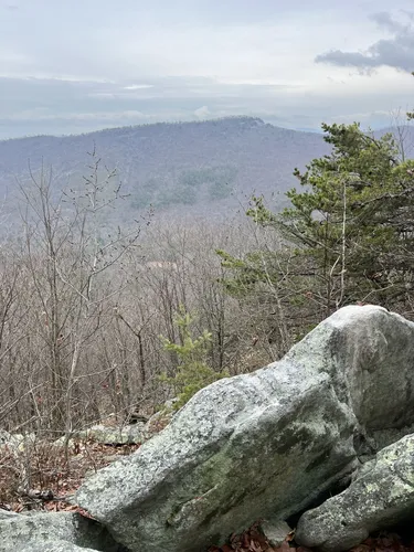 Best Views Trails in Mount Jackson | AllTrails